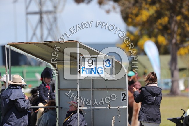 Geelong Royal Show 2019 - 2019 Events - Derek O'Leary Photography